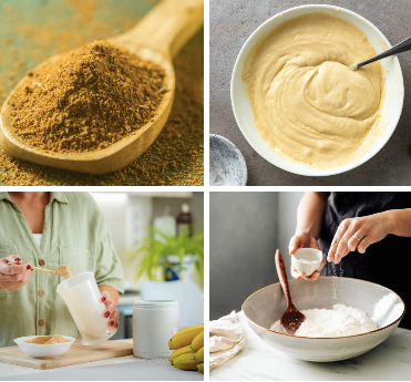 Quick Ready Made Indian Mixes in Germany – Desigros