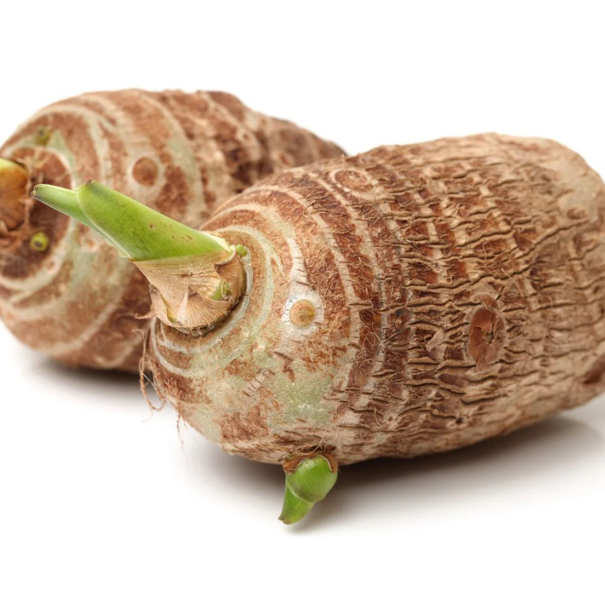 Buy Fresh Arbi Taro Root Chembu 500g Online Germany – Desigros